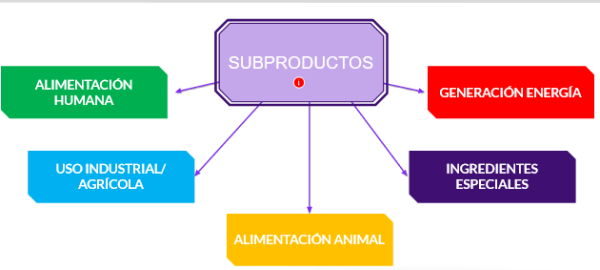 Subproductos bovinos: evolución y clasificación - AgroGlobal